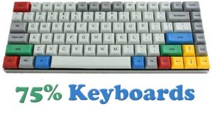 What are 75% Keyboards, and What Are Their Advantages & Disadvantage ...