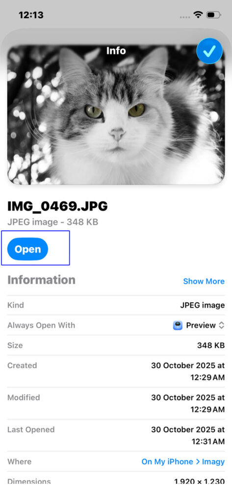 How to set a default app to open a certain file type on iOS 26 & iPadOS ...