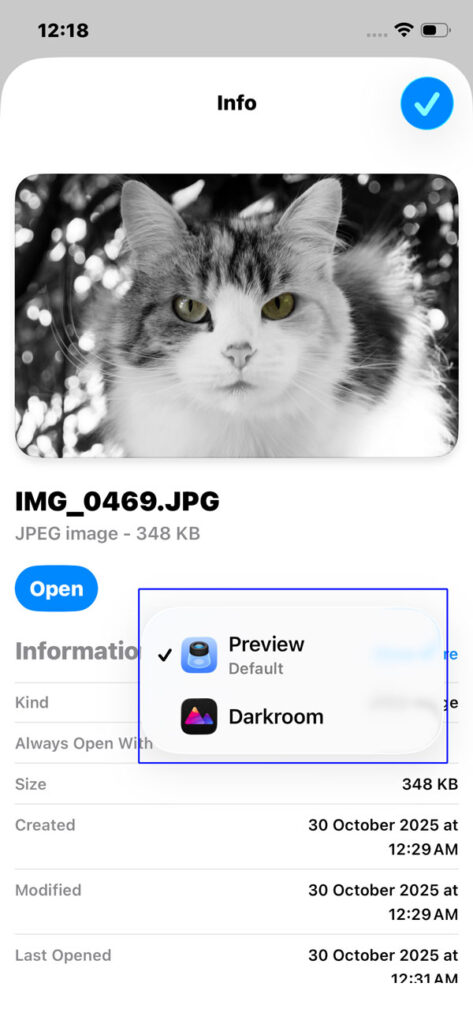 How to set a default app to open a certain file type on iOS 26 & iPadOS ...